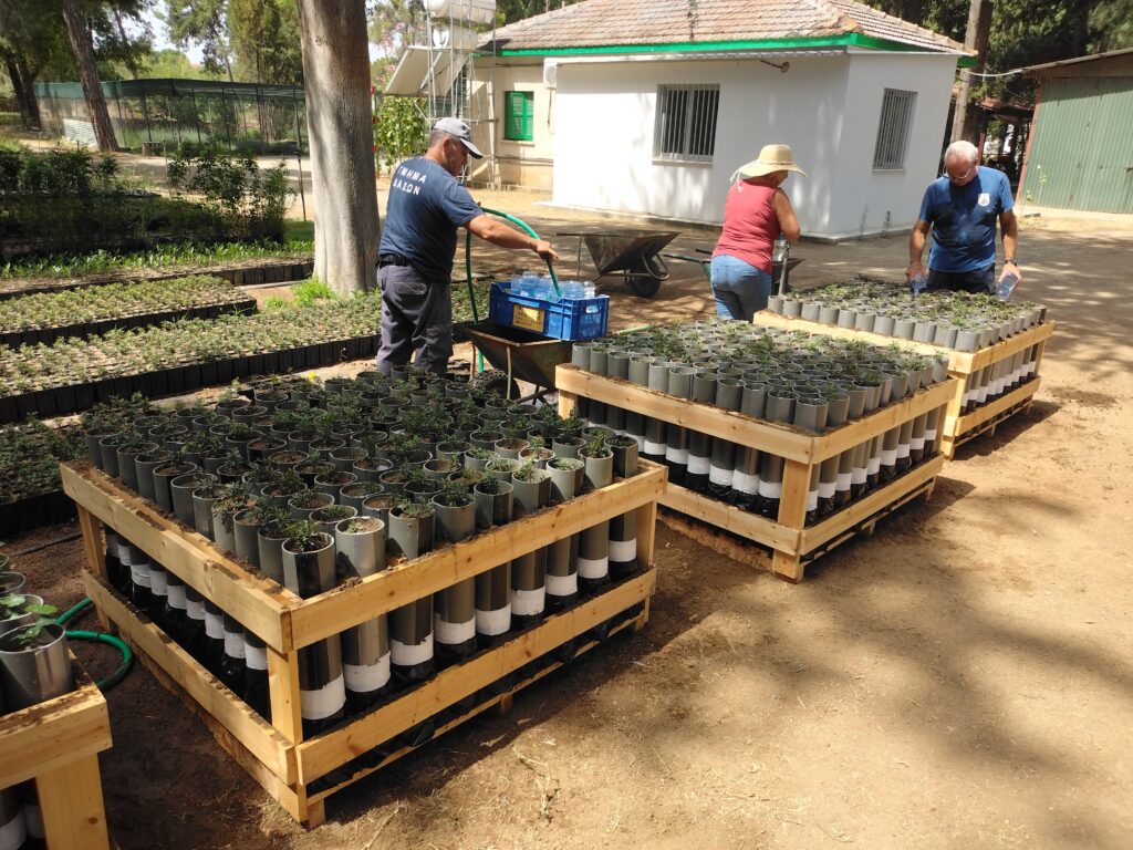 Production of deep-rooted plants | Laona Foundation